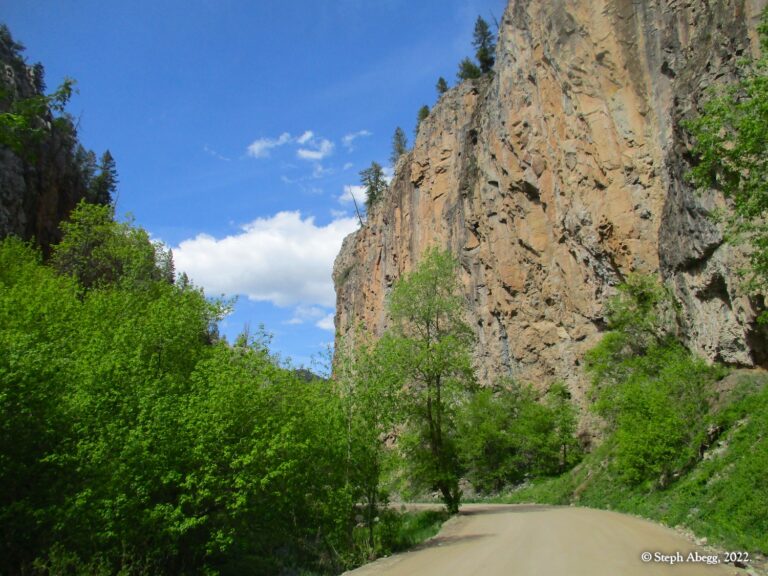 Rifle Canyon Climbing 2019-present - www.StephAbegg.com
